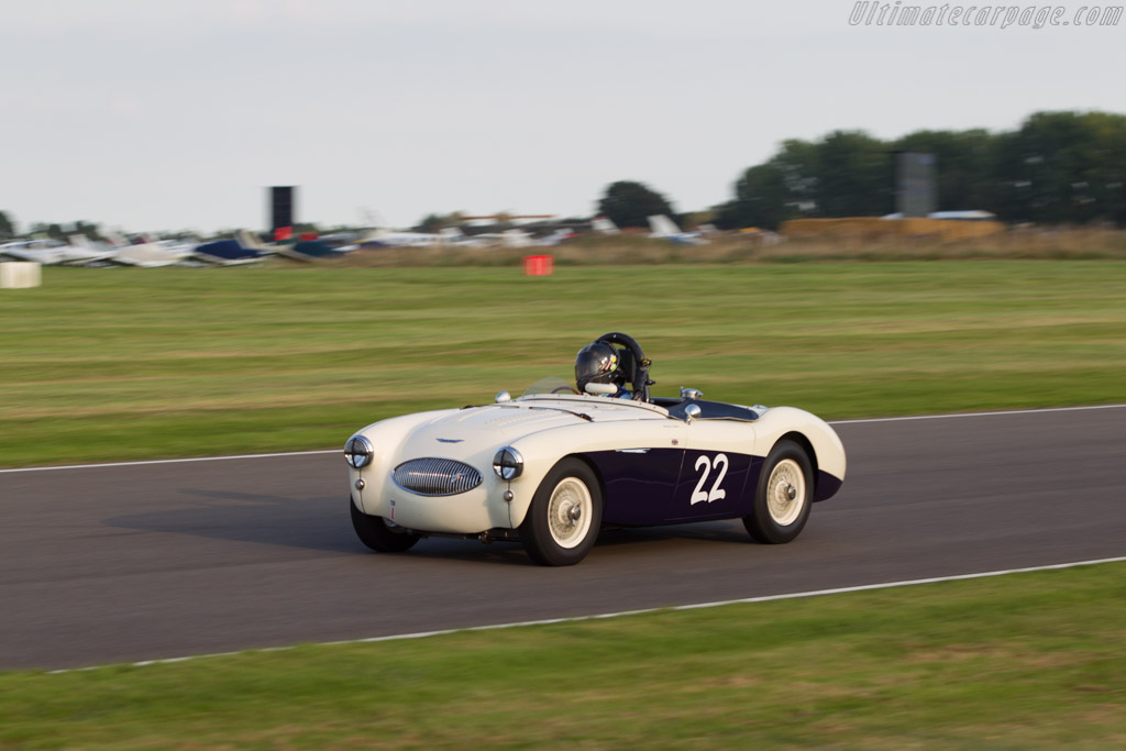 Austin Healey 100S - Chassis: AHS 3603 - 2014 Goodwood Revival
