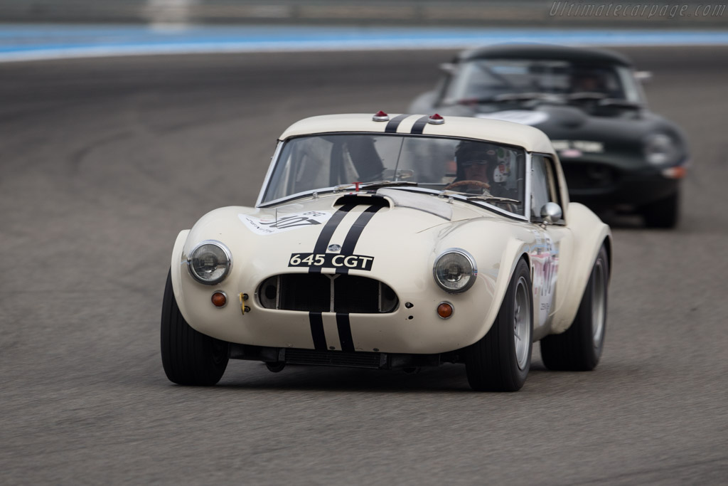 Jaguar E-Type - Chassis: 878169 - Driver: Hugo Payen / Thomas Leriche ...