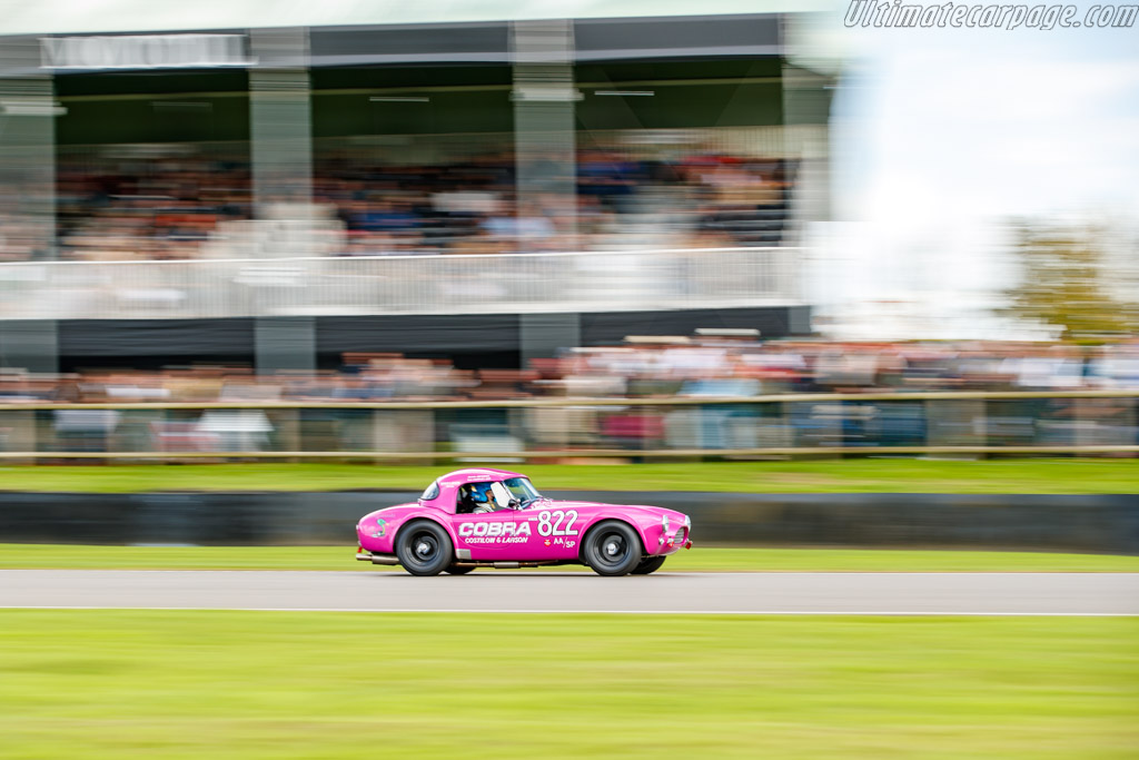 AC Shelby Cobra 260 - Driver: Jimmie Johnson / Tom Hartley Jnr - 2025 ...